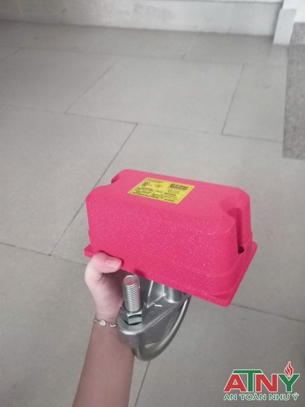 công tắc dòng chảy system sensor wfd20 wfd25 wfd30-2 wfd35 wfd40