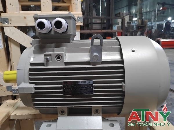 Cung cấp phân phối giá đại lý windy motor hiệu Rem 1 pha 3 pha cấp