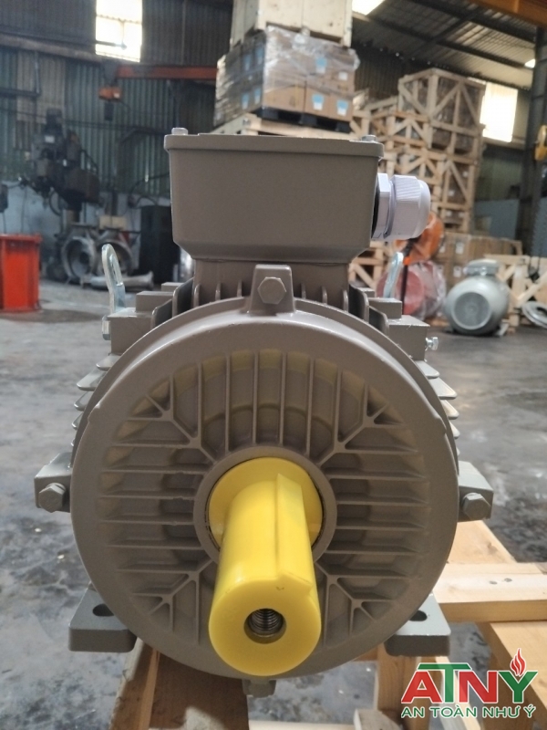 Cung cấp phân phối giá đại lý windy motor hiệu Rem 1 pha 3 pha cấp