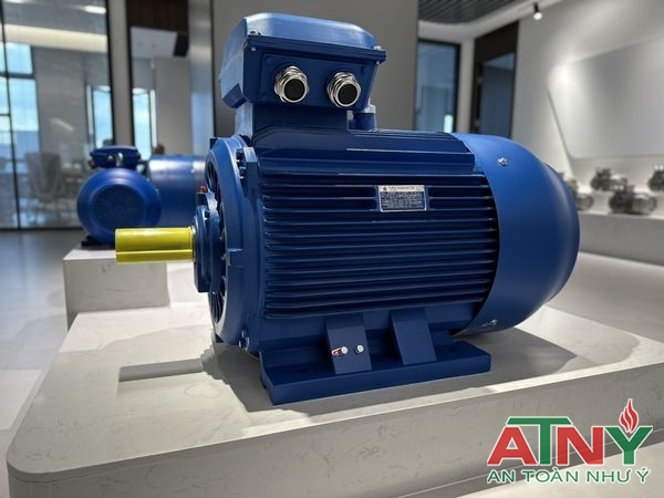 Cung cấp phân phối giá đại lý windy motor hiệu Rem 1 pha 3 pha cấp
