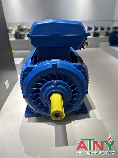 Cung cấp phân phối giá đại lý windy motor hiệu Rem 1 pha 3 pha cấp