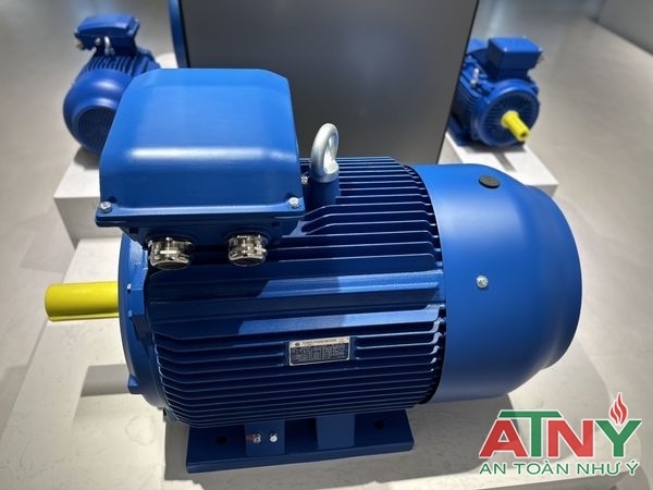 Cung cấp phân phối giá đại lý windy motor hiệu Rem 1 pha 3 pha cấp